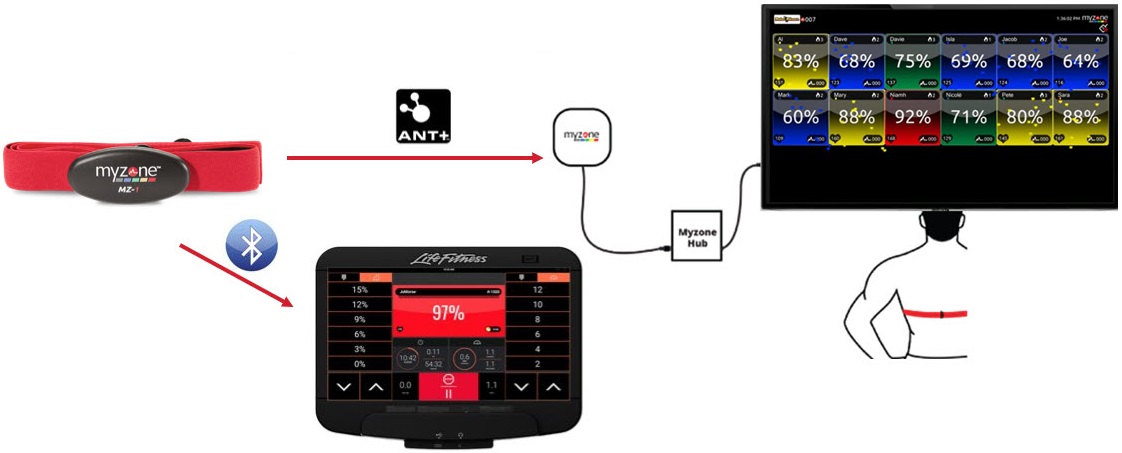 Life Fitness and Myzone Introduction – Life Fitness Support