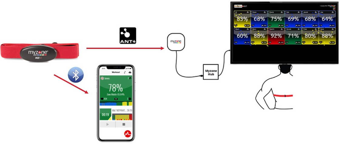Introduction à Life Fitness et Myzone – Life Fitness Soutien